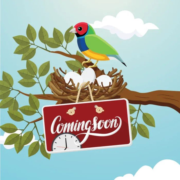 ViewSonic VB-EBS-001 e-Box® Soundbar Bracket for Mobile Stand #487A01 – Music City Canada