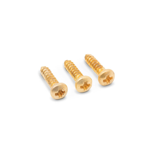 Taylor Screw(3),PPH,#2x3/8",Gold TR Cover – Music City Canada