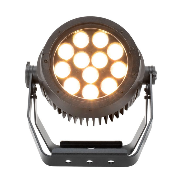 ADJ IP65 LED Par Fixture w/ 12x20W RGBL – Music City Canada