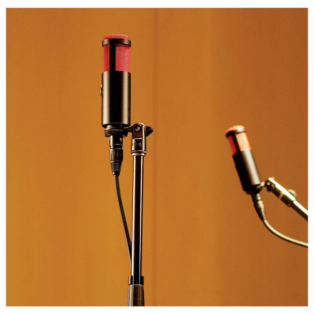 Shure KSM313 Dual-Voice Ribbon Microphone – Music City Canada